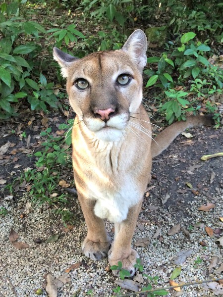 An Awesome Itinerary for Two Weeks in Belize