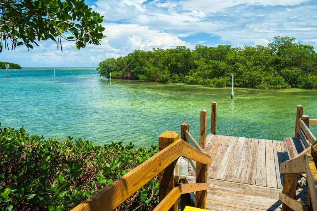 21 Fun & Unique Things to Do in the Florida Keys