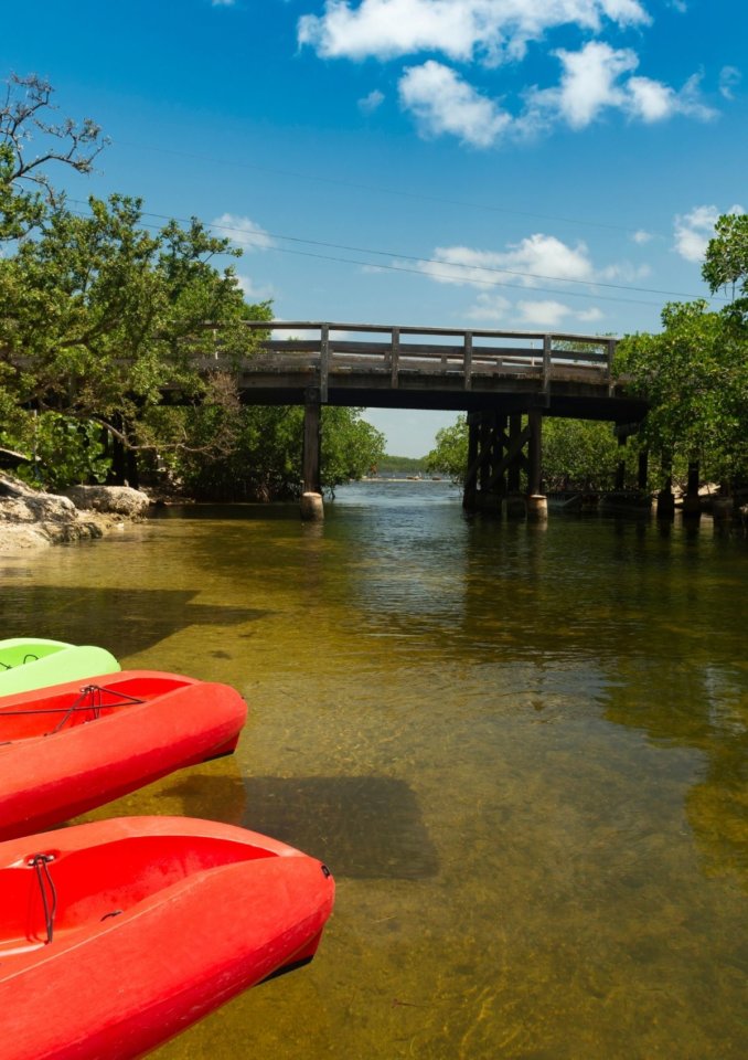 21 Fun & Unique Things to Do in the Florida Keys