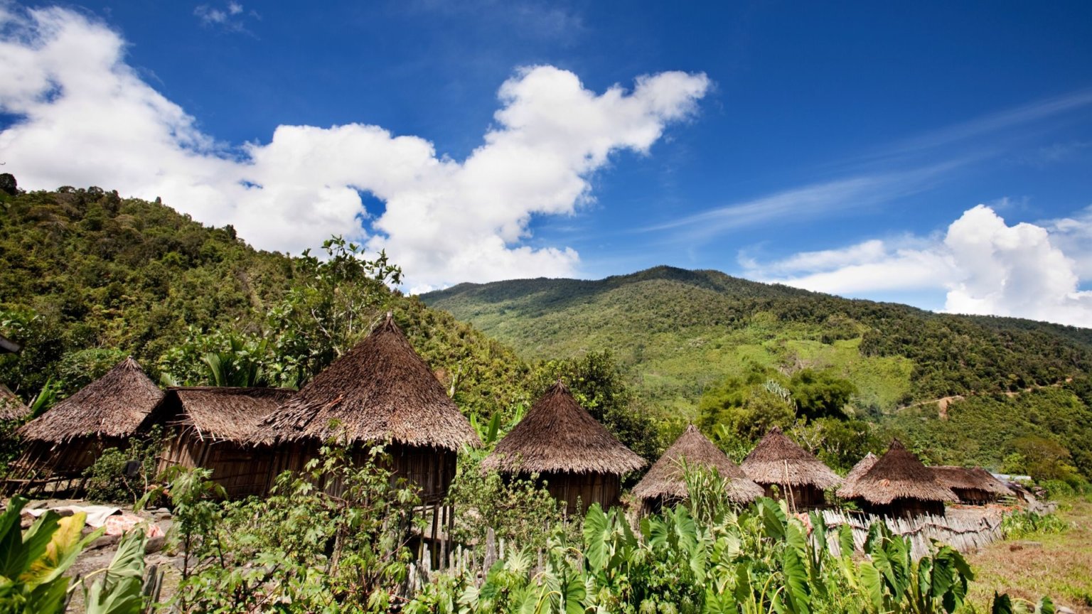 Beginner’s Papua New Guinea Travel Guide (You NEED to Read!)