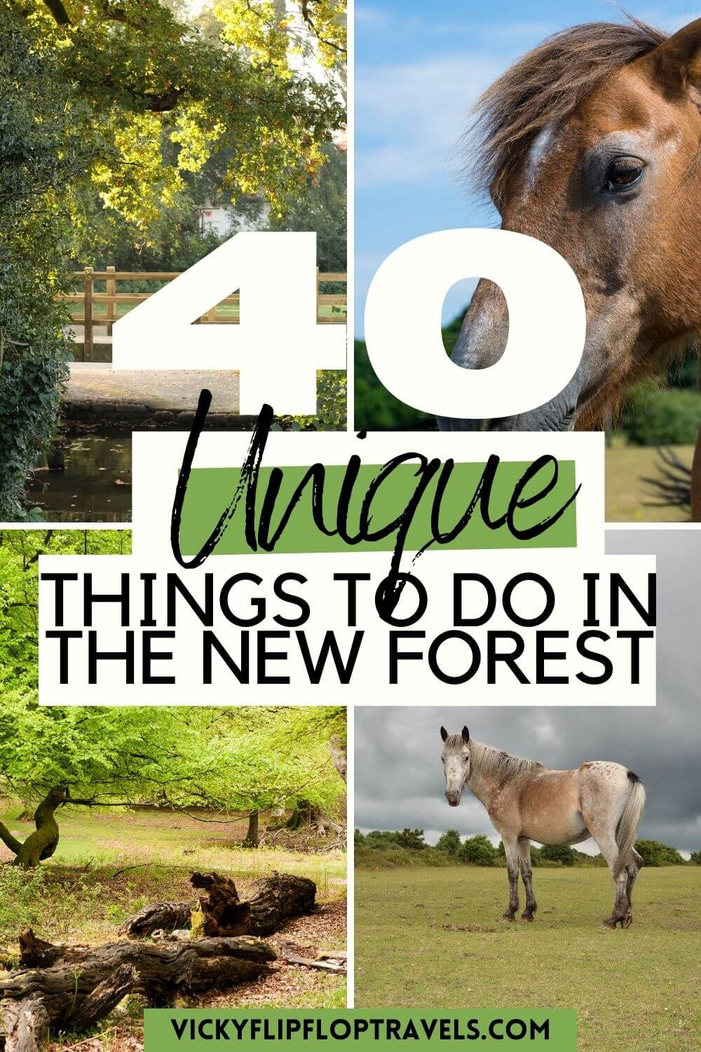 Top 40 Unique Things to Do in the New Forest