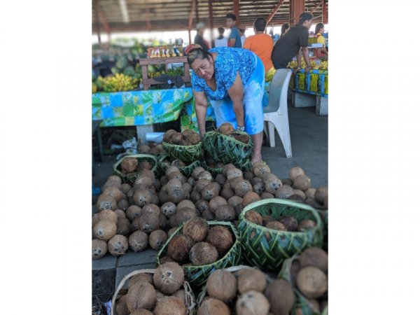 15 Coolest Things to Do in Samoa You NEED to Experience