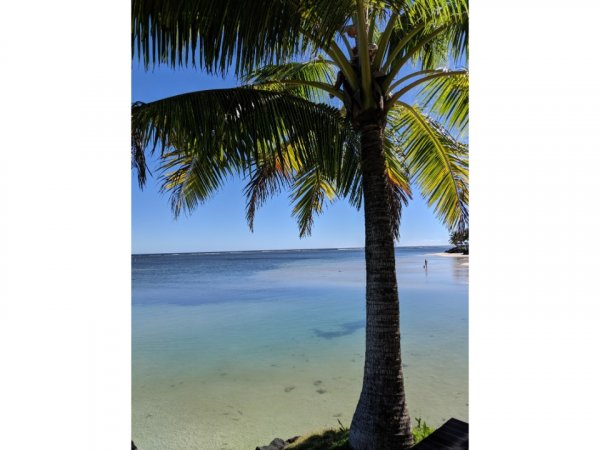 25 Fascinating Facts About Samoa: What to Know Before You Go