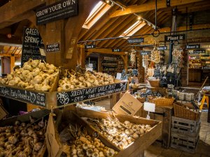 20 Best Restaurants on the Isle of Wight (Updated 2026)