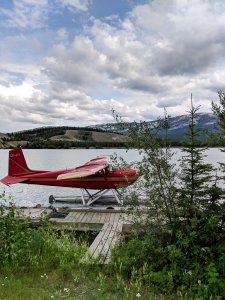 29 Coolest Things to Do in Whitehorse, Yukon | VickyFlipFlopTravels