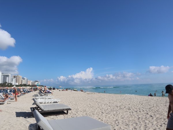 52 Coolest Things to Do in Miami: Your Quick List