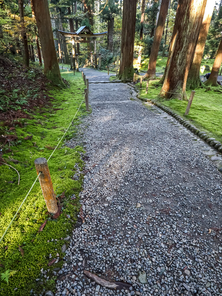 43 Essential Tips for Walking Alone if You're Nervous VickyFlipFlopTravels