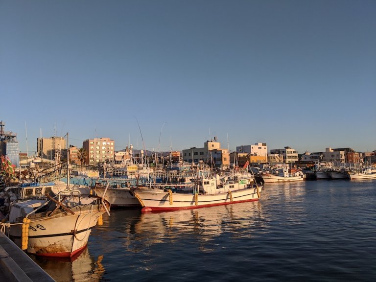 Jeju in Winter: Everything You NEED to Know Before You Go