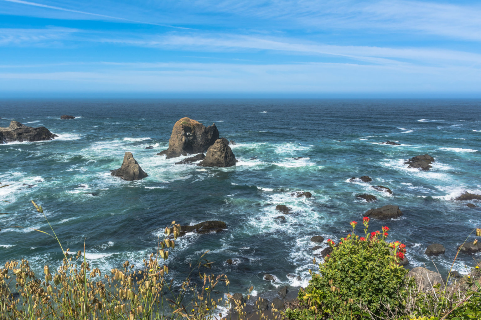 12 Awesome Stops on a San Francisco to Seattle Road Trip in 2026