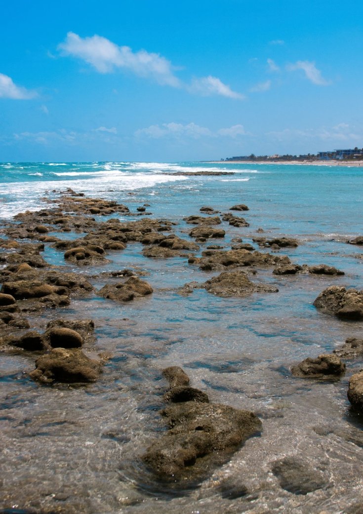 14 Fun Things to Do in Hobe Sound, FL (+ Where to Eat & Stay)