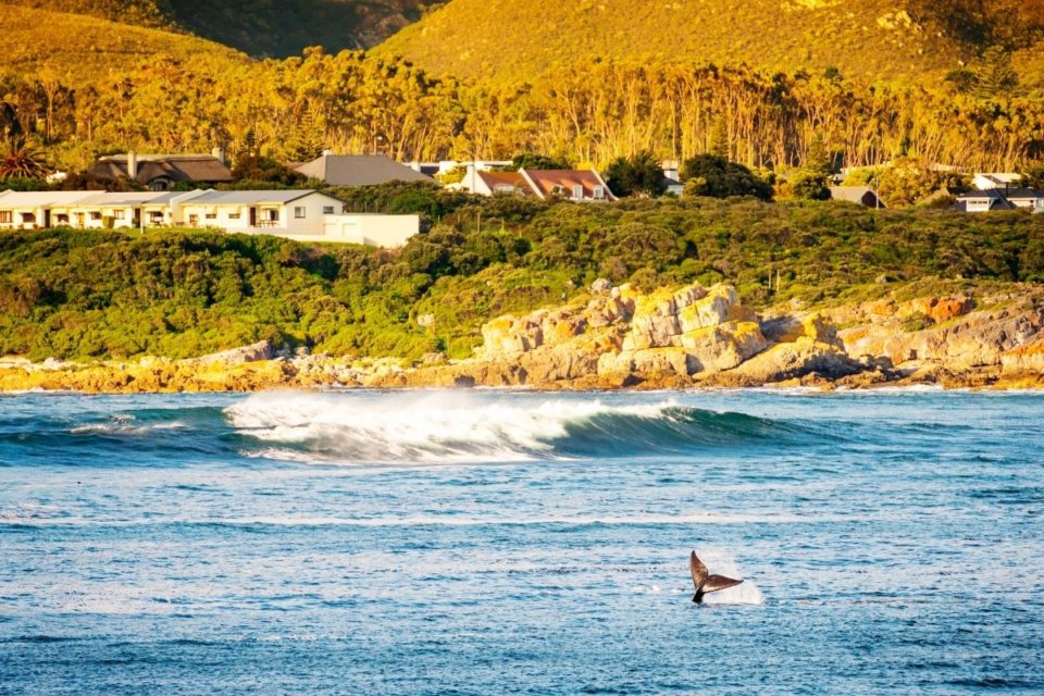 13 Best Festivals in September Around the World in 2024