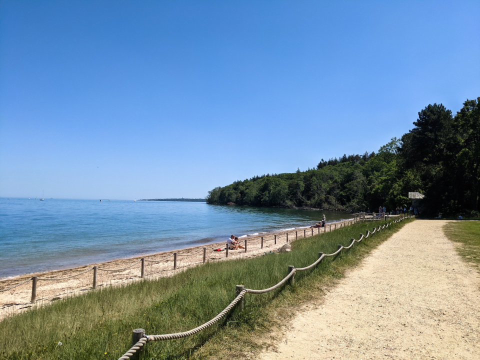 11 Best Isle of Wight Beaches to Visit in 2026