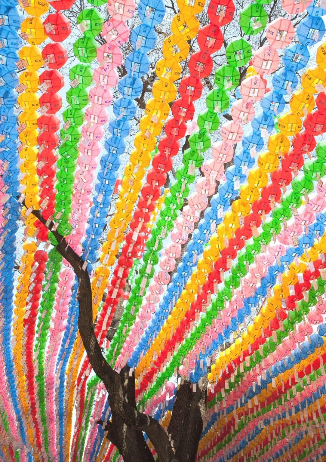 10 Best Festivals in April Around the World in 2024