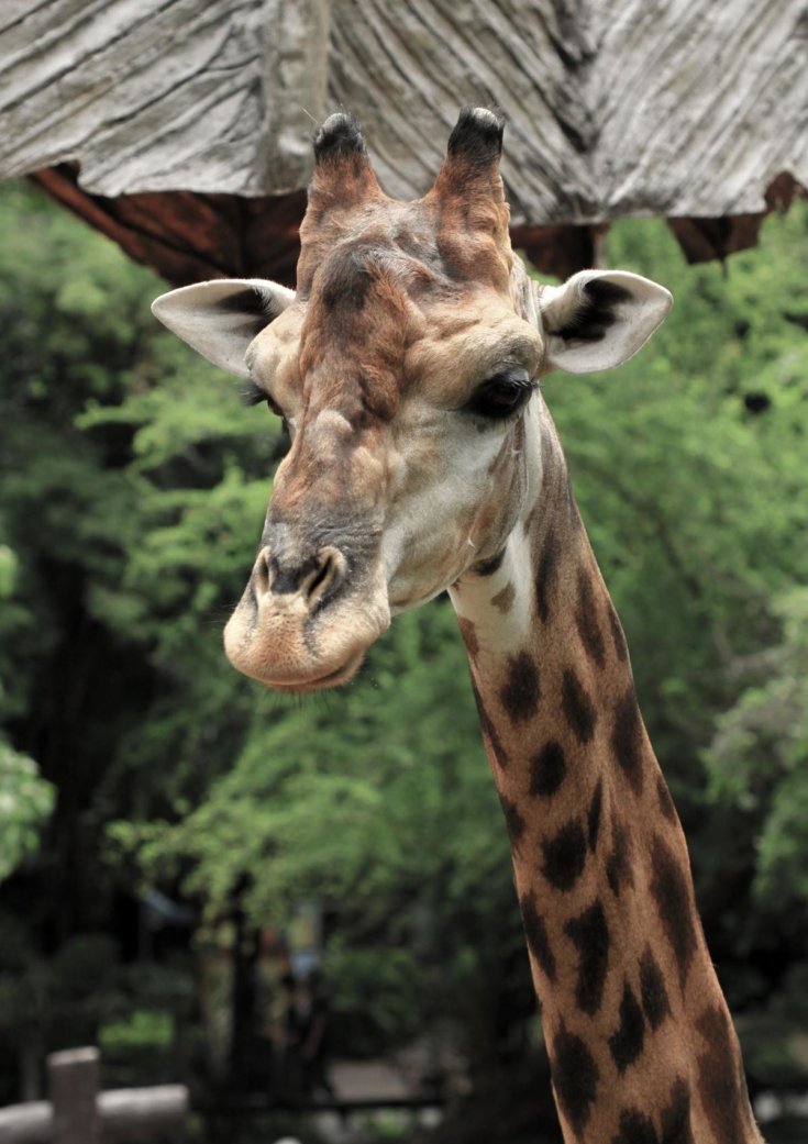 11 Fun & Cheap Things to Do in Belfast (Less than £20ish)