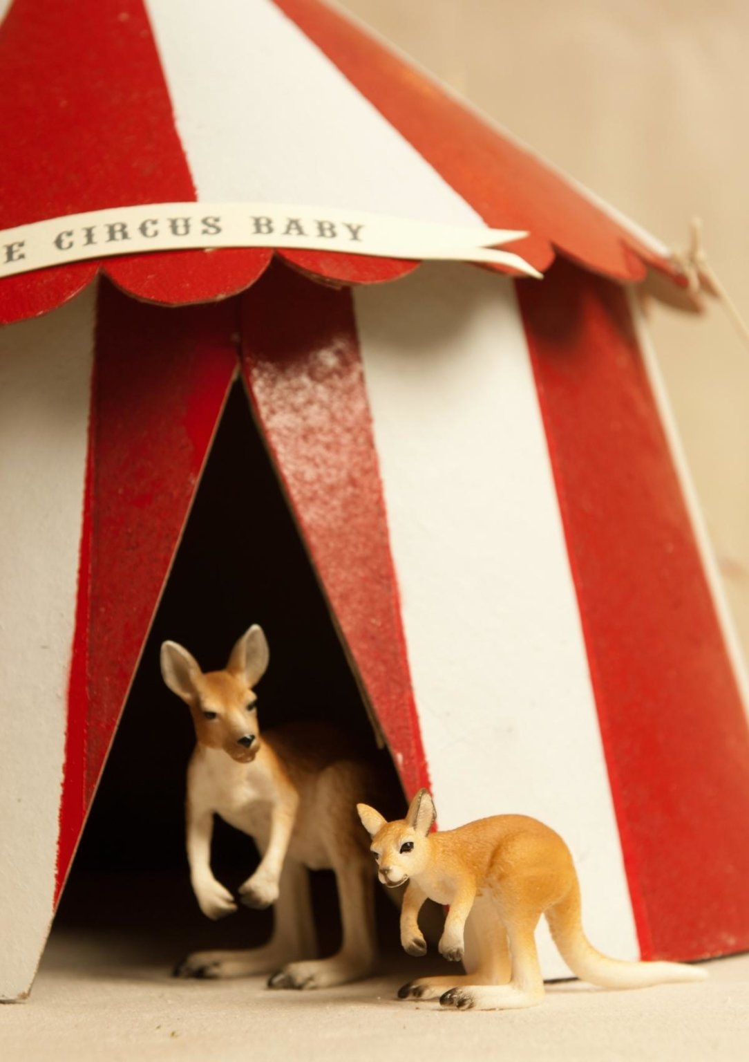 10 Best Souvenirs from Australia to Remember Your Trip By