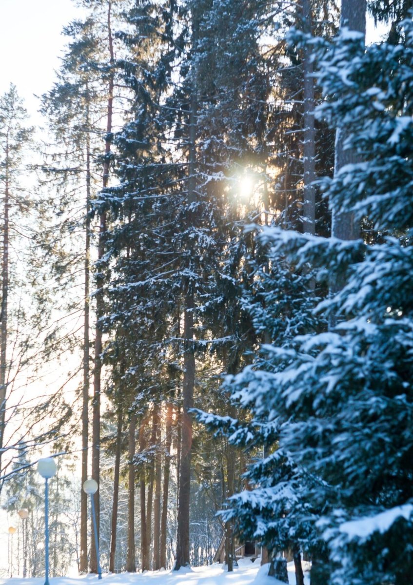 14 BEST Winter Sun Holiday Destinations (Long & Short Haul)