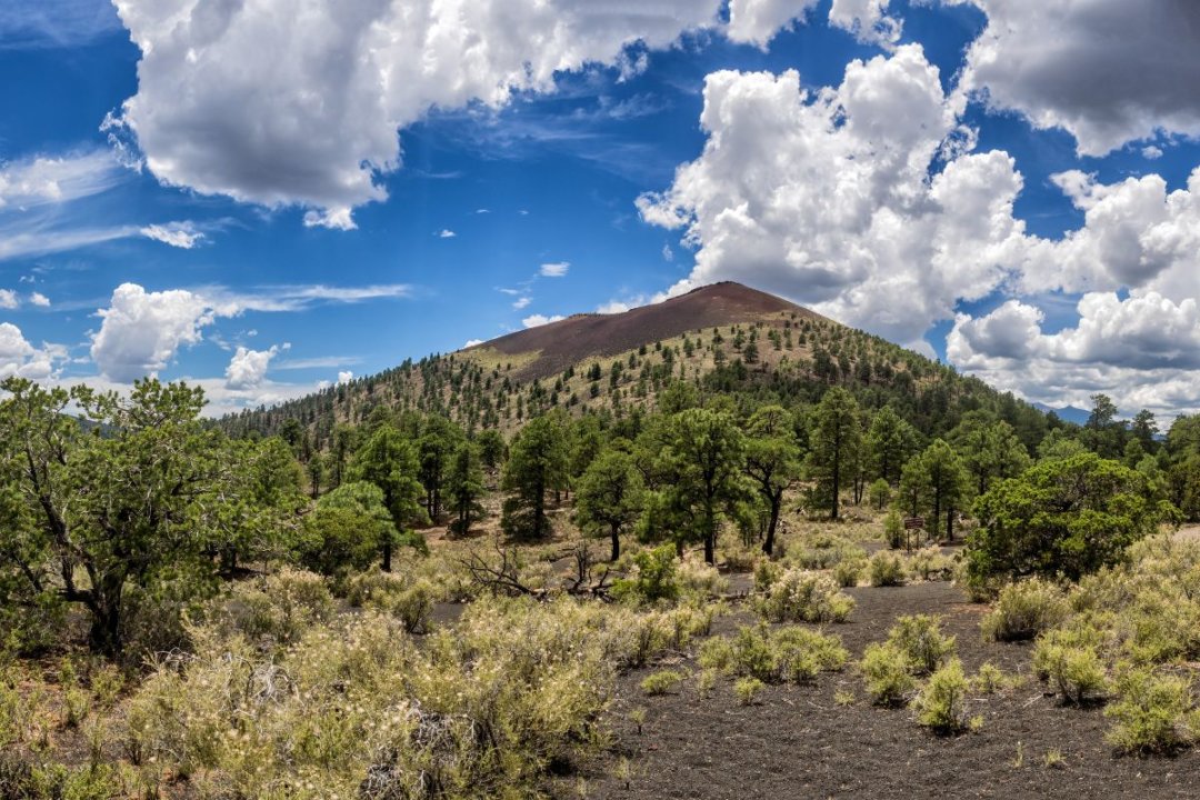 14 Amazing Stops on a Phoenix to Las Vegas Drive