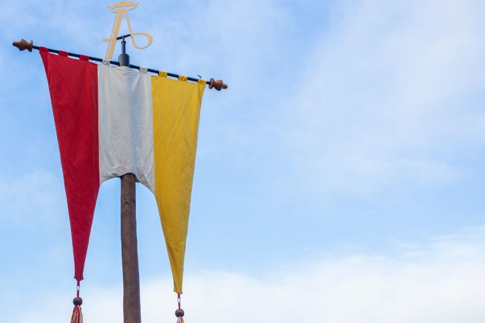 8 Best Flag Poles for Festivals to Be Seen in a Crowd