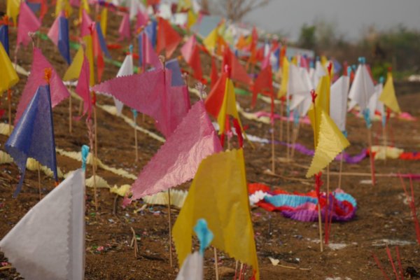 8 Best Flag Poles for Festivals to Be Seen in a Crowd