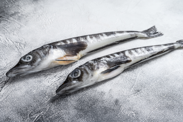 11 Best Places to Visit in Winter in Korea (and 3 New Year's Sunrise ...