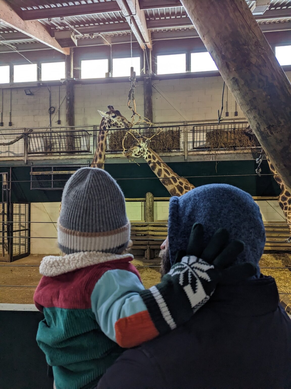 23 Best Family Days Out in Hampshire, UK