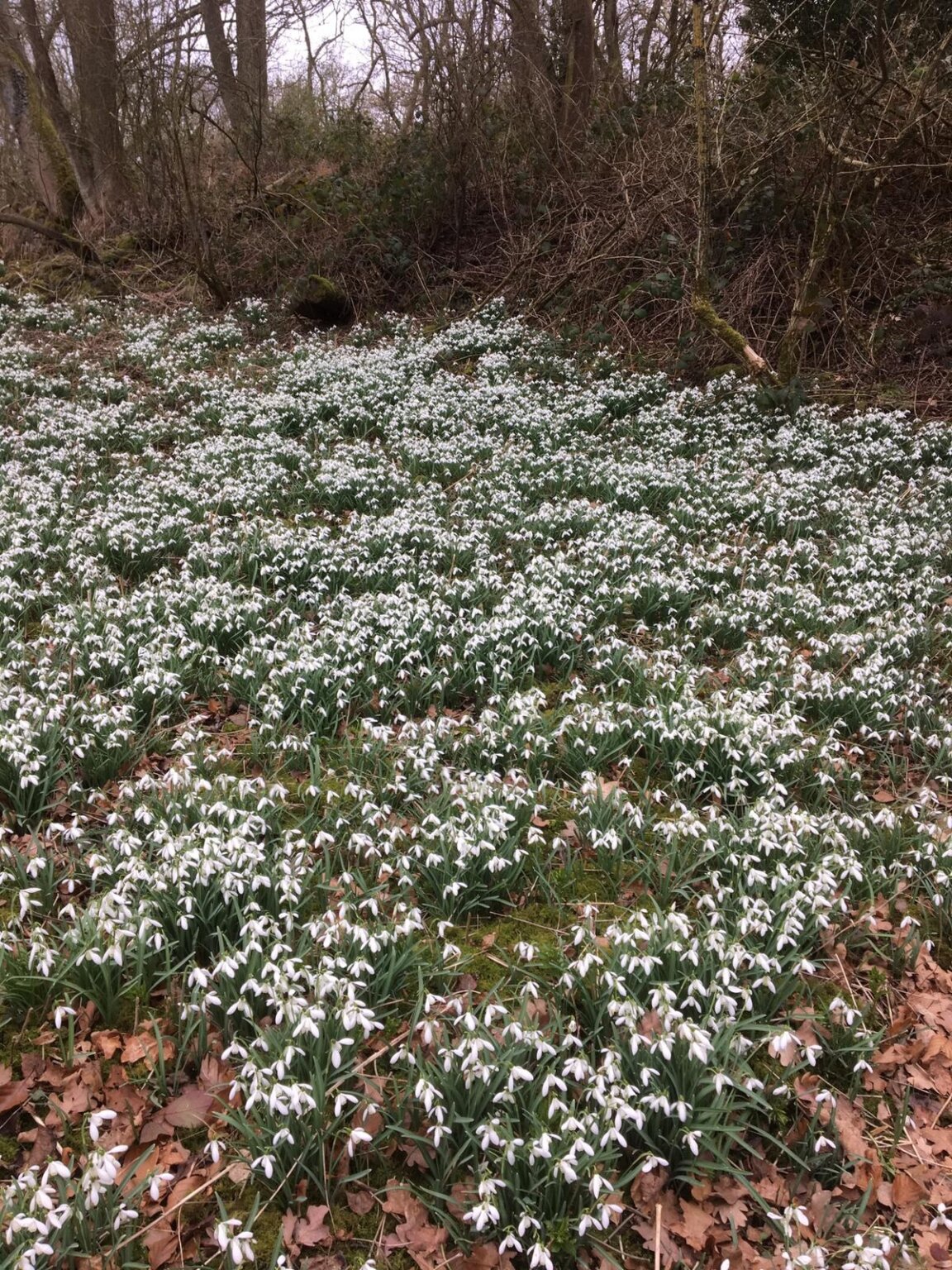 11 Best Things to Do in England in February